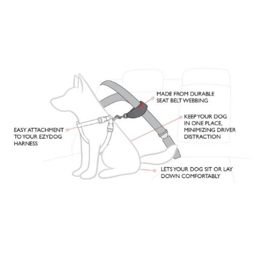 EzyDog Seat Belt Restraint for Dogs | DogCulture