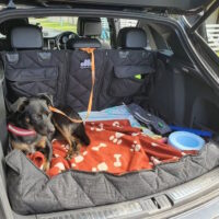 K9 Cruiser Bowl, Non-Spill Dog Water Bowl | DogCulture
