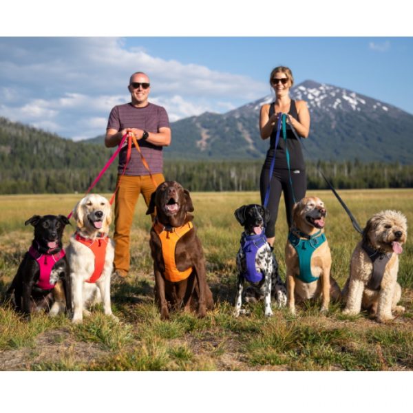 Ruffwear Front Range Harness, easy to fit and put on | DogCulture
