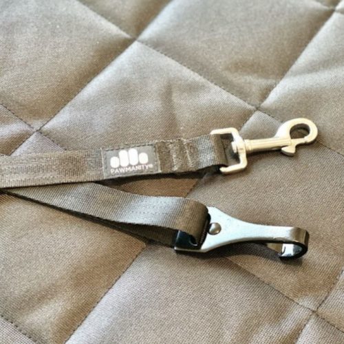 Pawmanity Adjustable Cargo Latch Restraint Belt - 2 Sizes - DogCulture