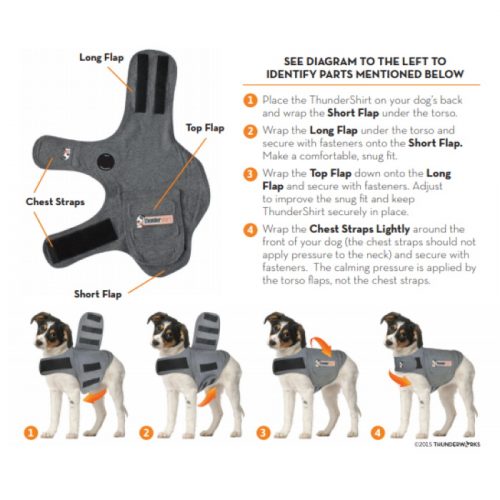 Thundershirt - Anti-Anxiety Calming Vest for Dogs - DogCulture