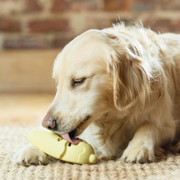 Petsafe Frosty Cone Freezer Toy - Treat Dispensing Toy | DogCulture