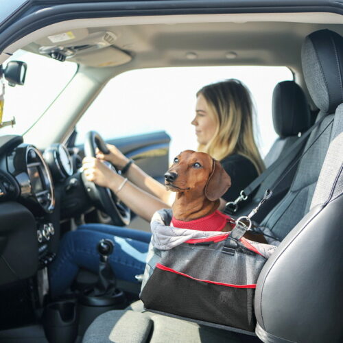 KONG Dog Car Booster Seat - DogCulture