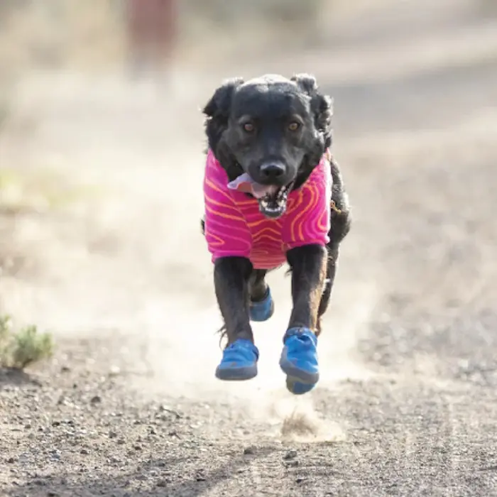 Ruffwear Hi & Light Trail Dog Shoes (1 pair/2 boots) - DogCulture