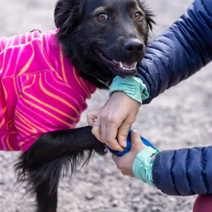 Ruffwear Hi & Light Trail Dog Shoes (1 pair/2 boots) - DogCulture